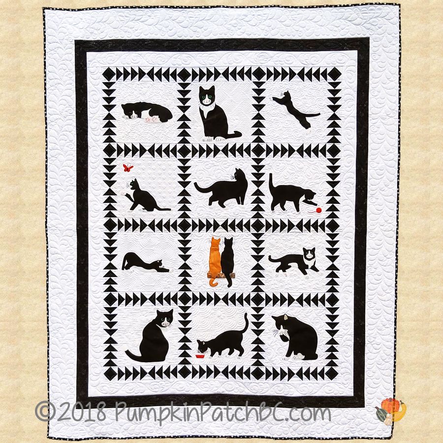 Tuxedo Cats | Pumpkin Patch Patterns