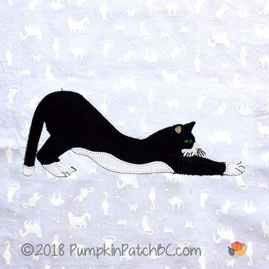 Tuxedo Cats Block #8 | Pumpkin Patch Patterns